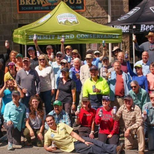 Historic hops: Park City's century-old plants power modern conservation ...