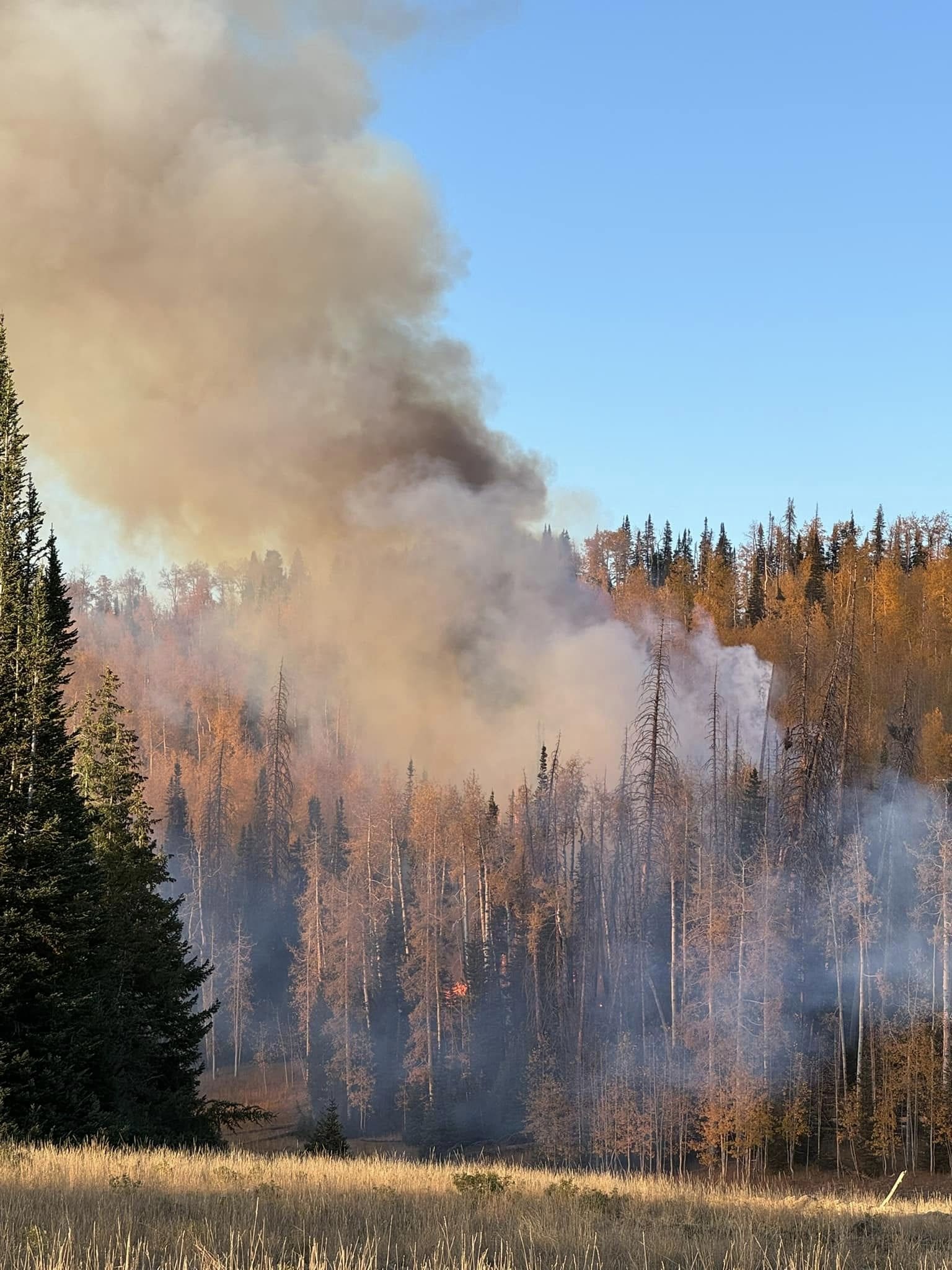 UPDATED: Yellow Lake Fire prompts evacuations, reaches 1,500 acres ...