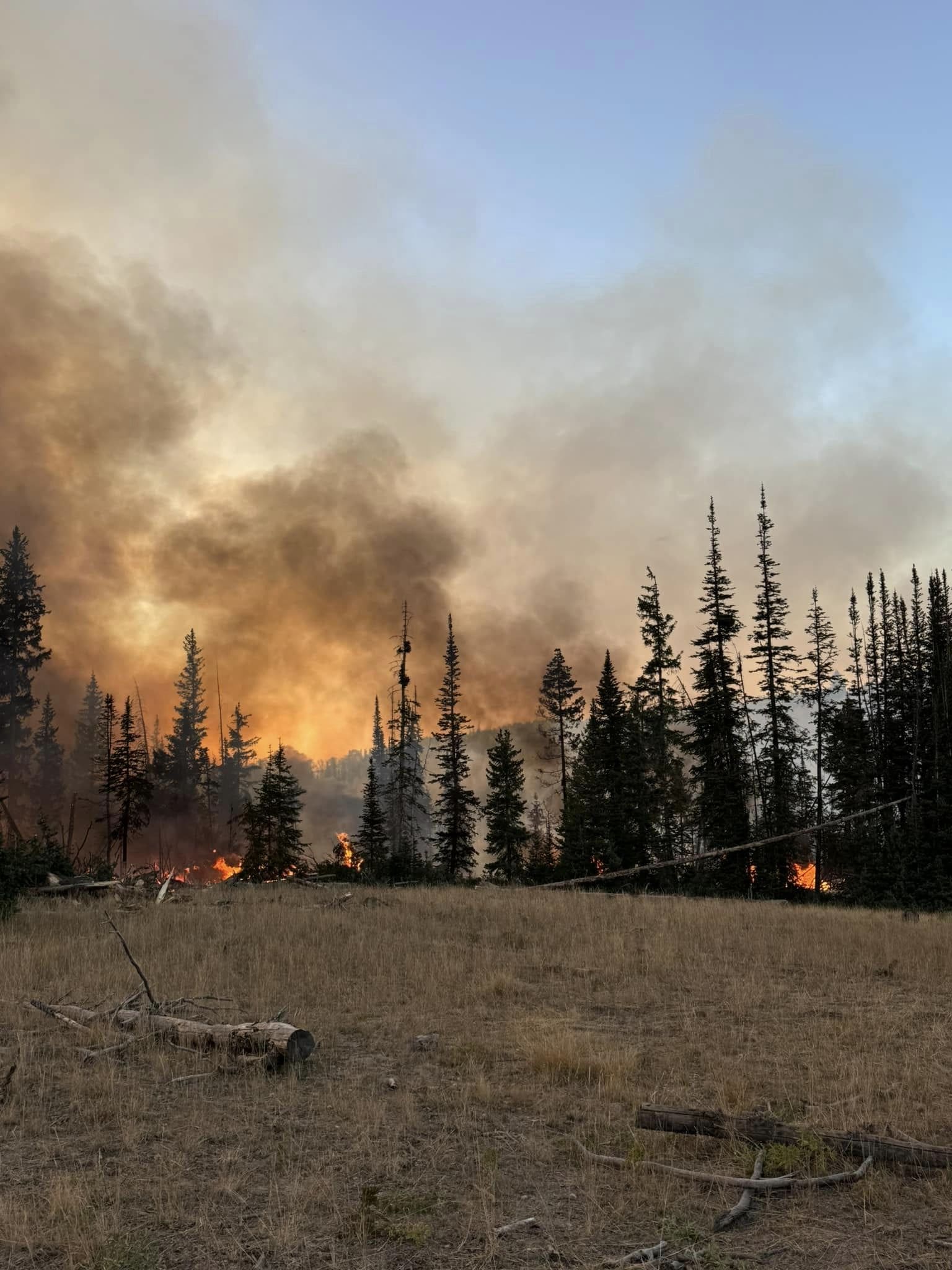 UPDATED: Yellow Lake Fire prompts evacuations, reaches 1,500 acres ...