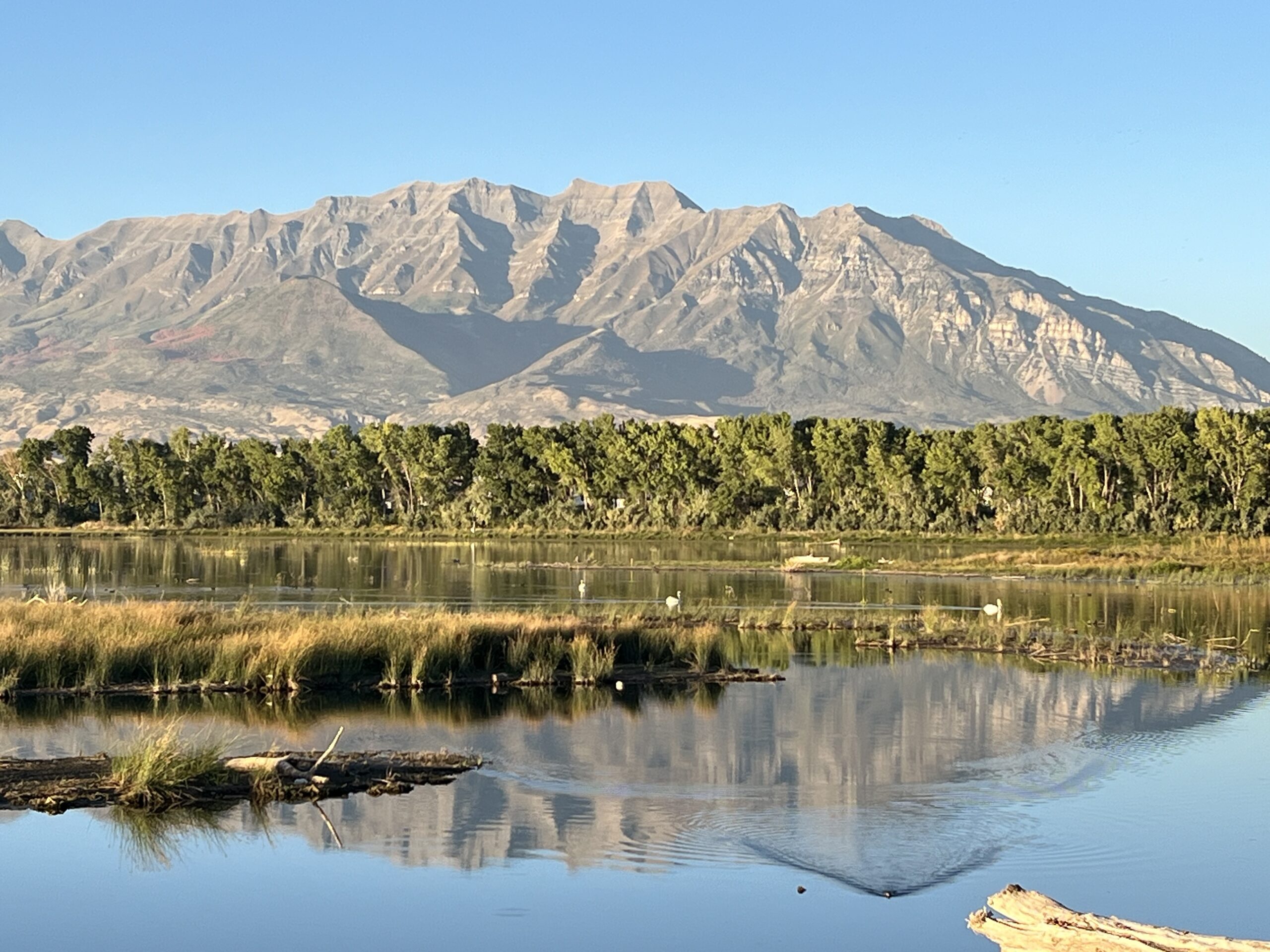Provo River Delta reopens to the public after 4-year restoration ...