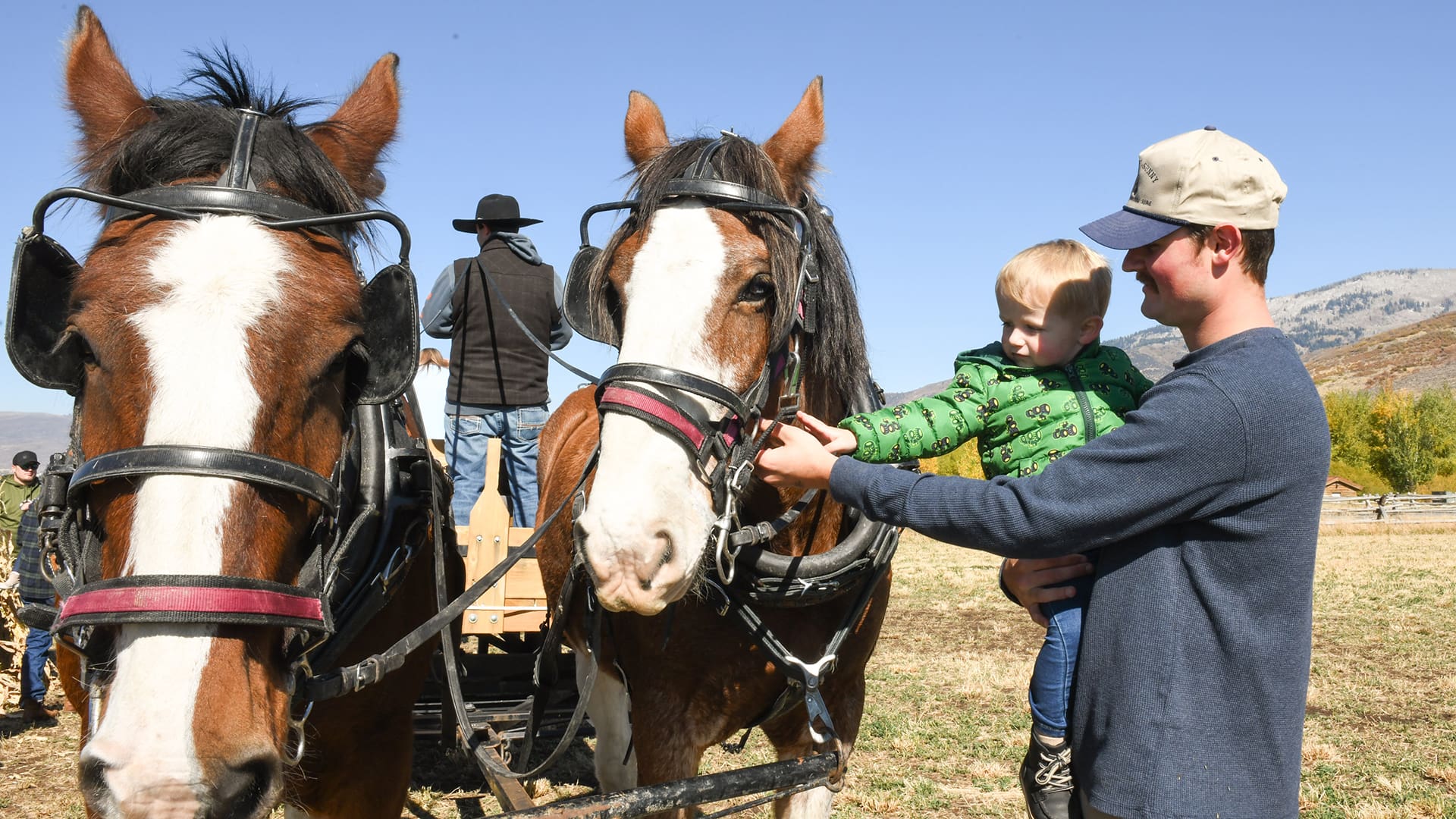 Scarecrows and smiles: High Star Ranch Fall Fest brings seasonal cheer ...