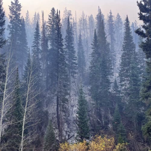 Fire's first look: Images from inside the Yellow Lake Fire - TownLift ...