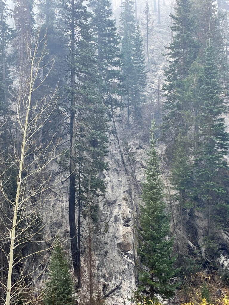 Fire's first look: Images from inside the Yellow Lake Fire - TownLift ...