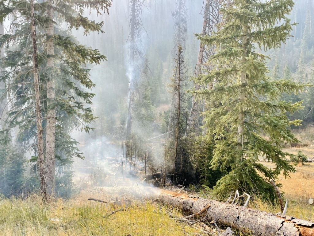 Fire's first look: Images from inside the Yellow Lake Fire - TownLift ...