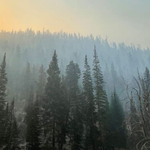 Fire's first look: Images from inside the Yellow Lake Fire - TownLift ...