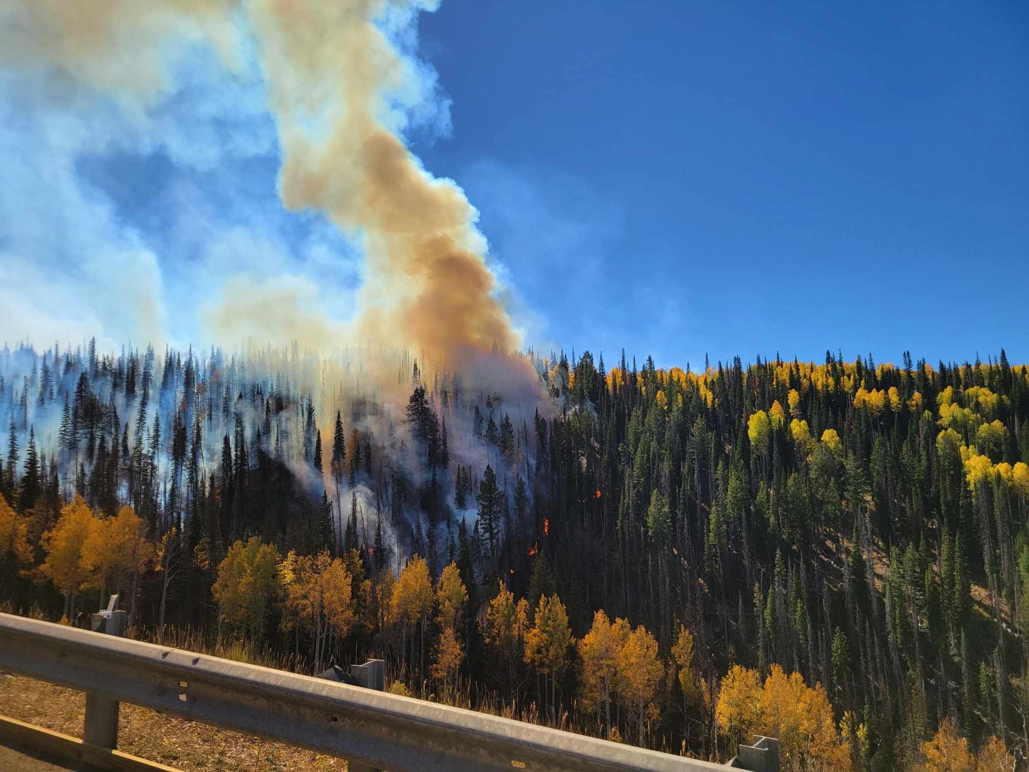 Crews working toward full suppression on human-caused Yellow Lake Fire ...