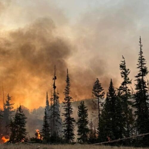 Immediate evacuation ordered in area north of Mirror Lake Highway as ...