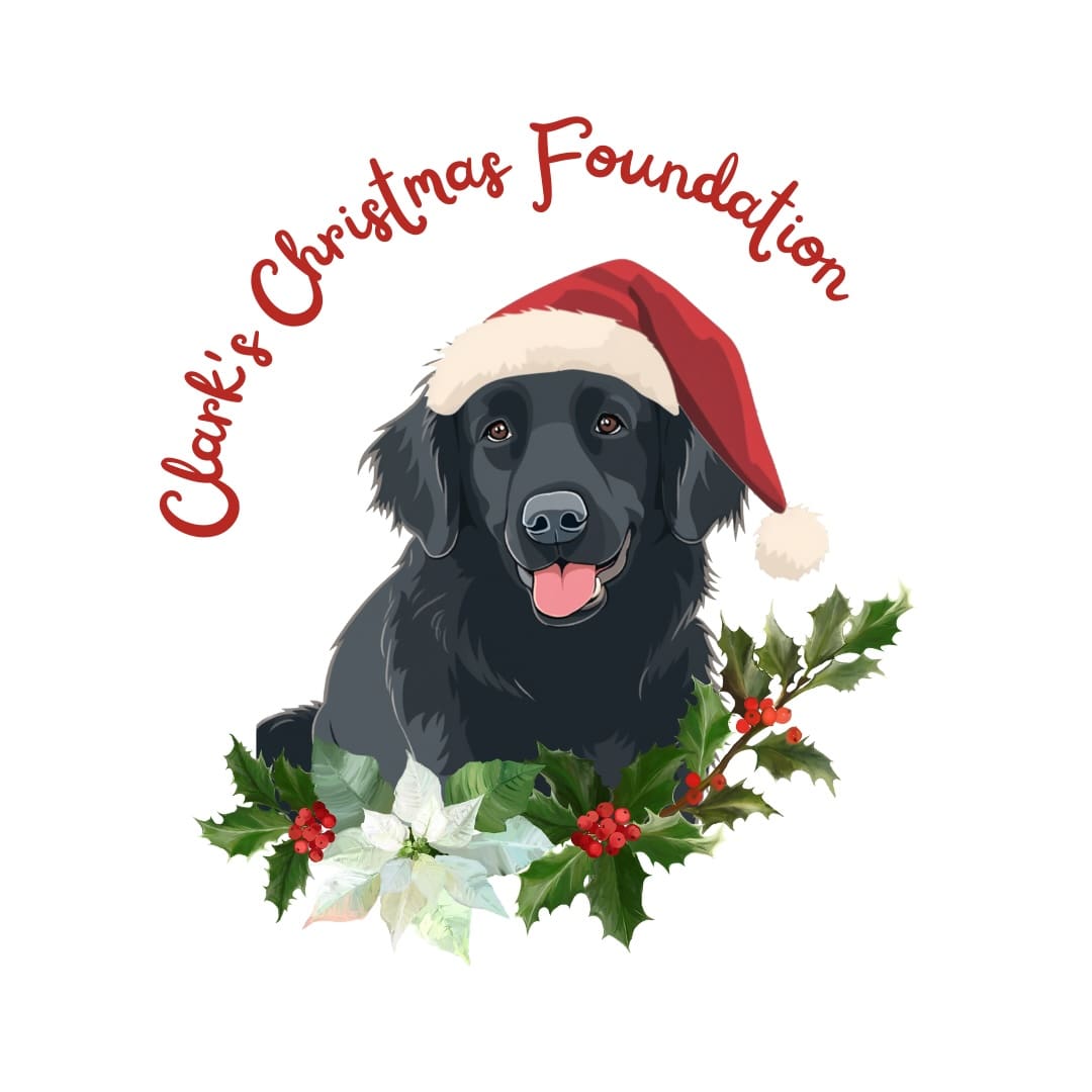 Clark’s Christmas Foundation brings holiday joy to Summit County ...