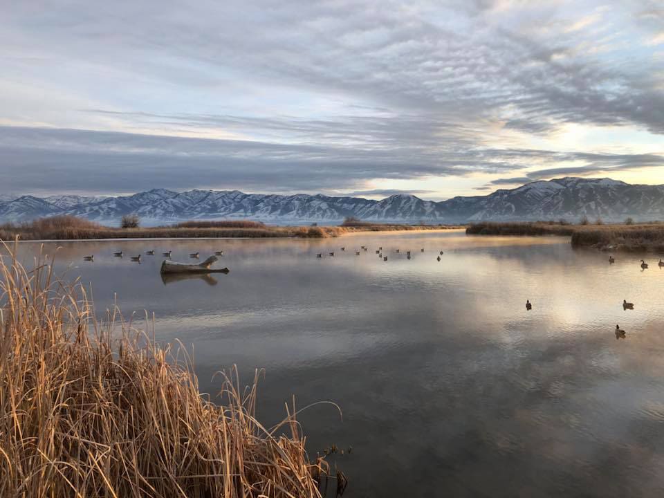Utah Wildlife Resources seeks public input on hunting regulation ...