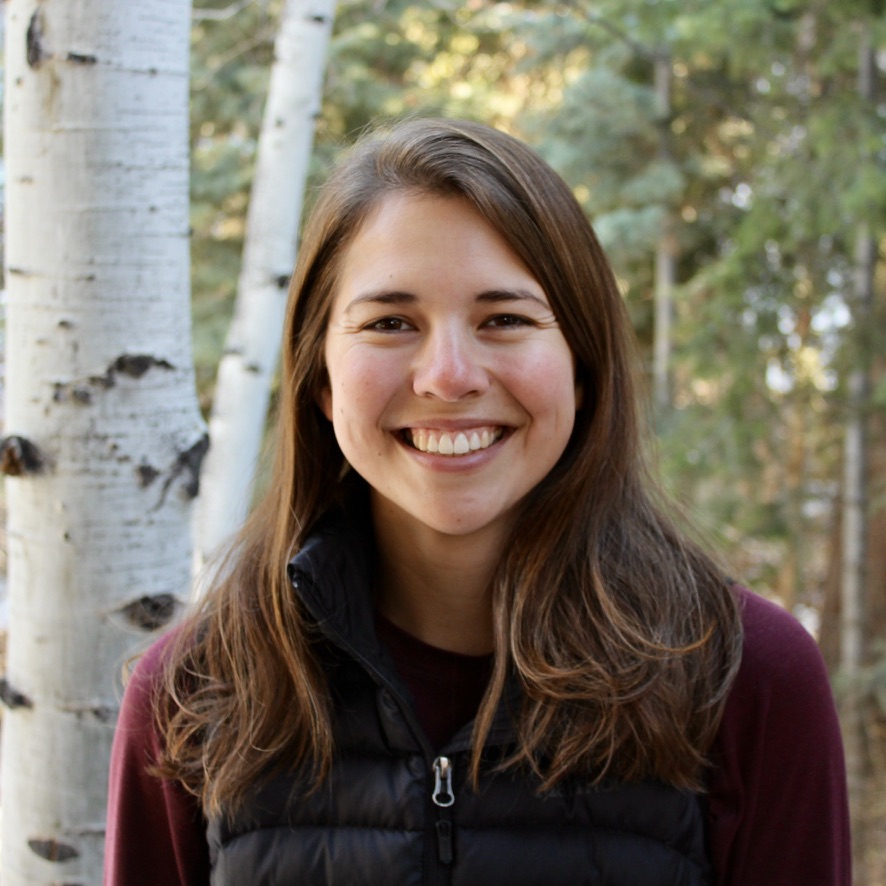 Local artist Carrie Manteiga finds inspiration in Park City's ...