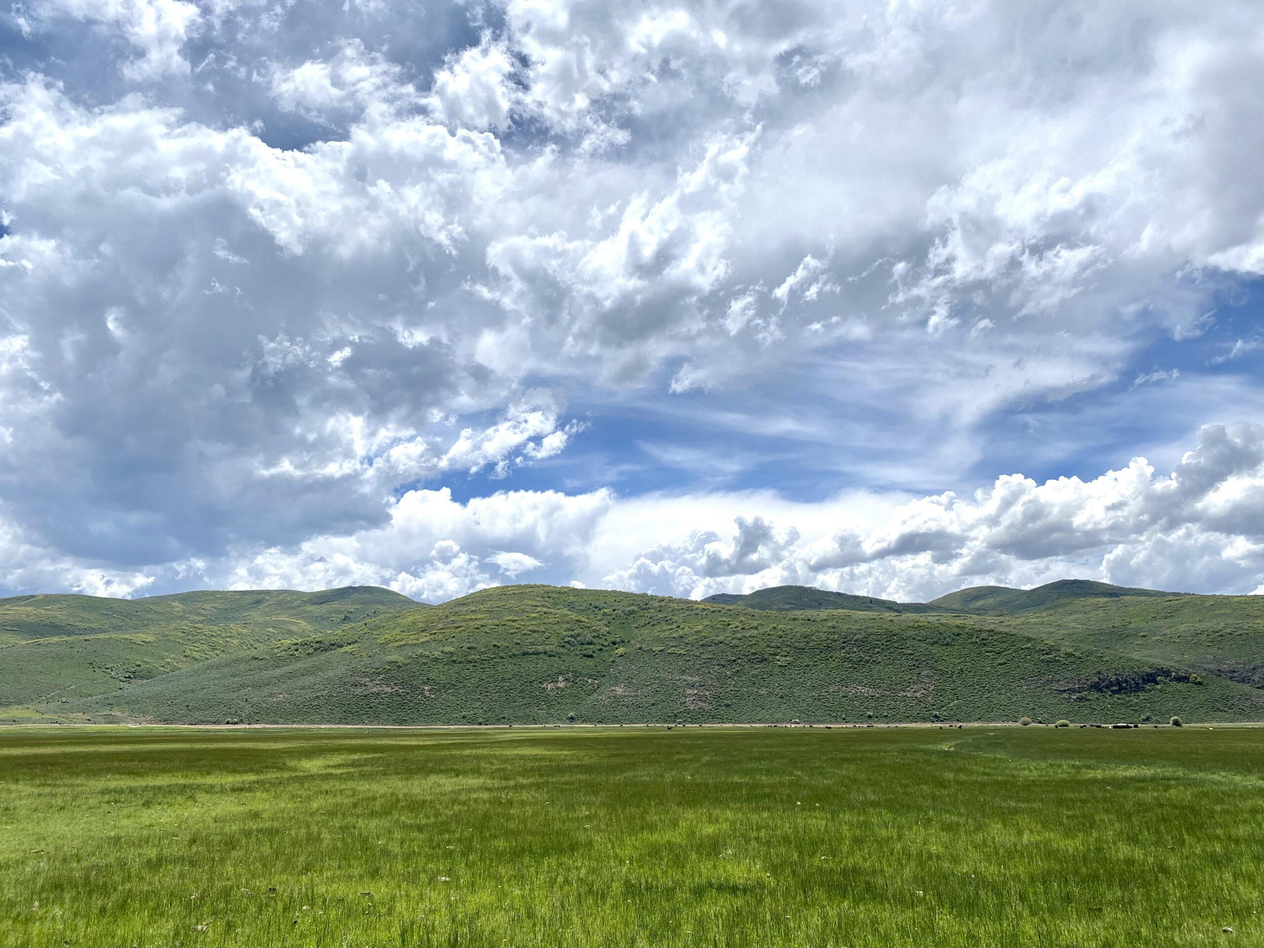 Summit County preserves 61 acres of Kamas Valley farmland - TownLift ...