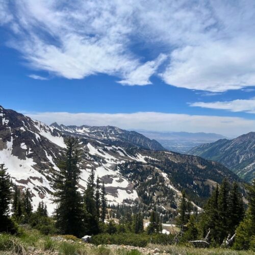 Snowbird's summer season is here: What visitors should know - TownLift ...