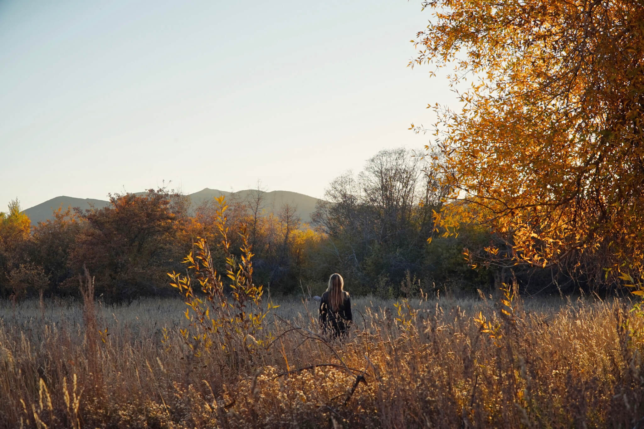 How Summit Land Conservancy is working to save land and water for all Utahns - TownLift, Park ...