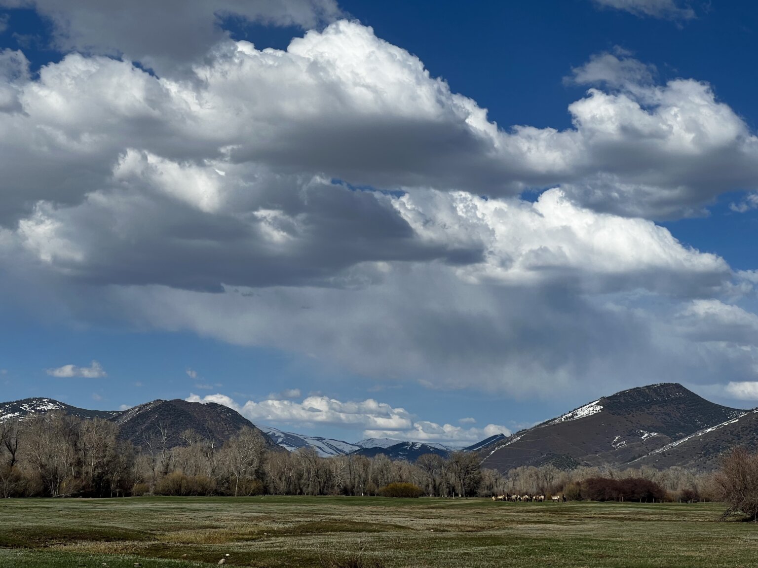 Forest Bathing event set for Aug. 21 at Marchant Meadows Preserve, Peoa ...