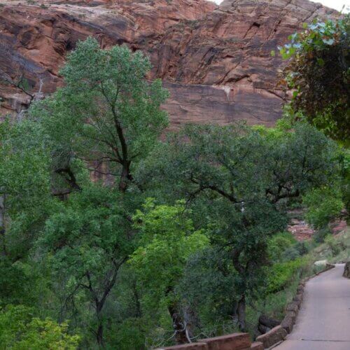 Hikers return to Weeping Rock, one of Zion’s most cherished trails ...
