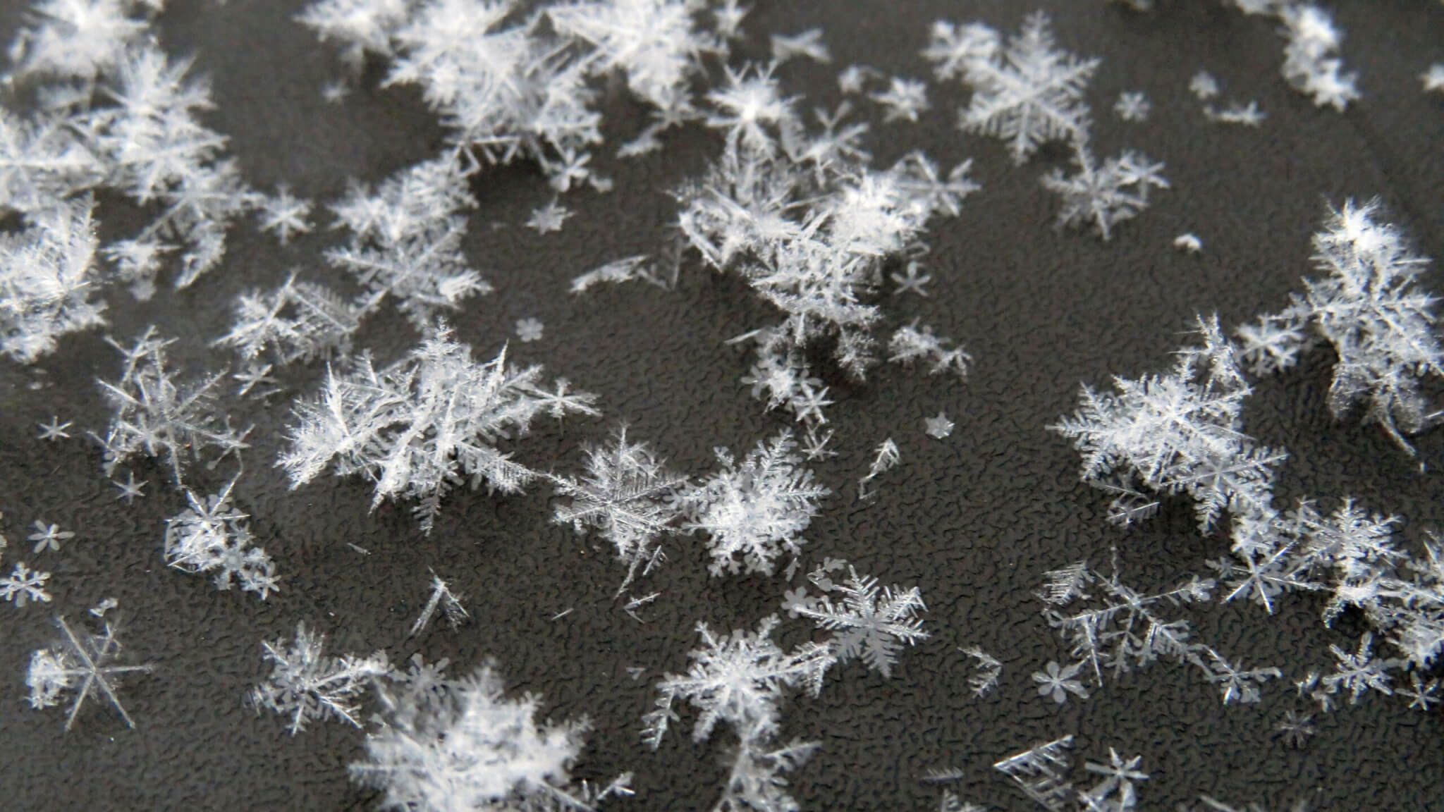 First snowflakes of the 2025-26 season fly in Little Cottonwood Canyon ...