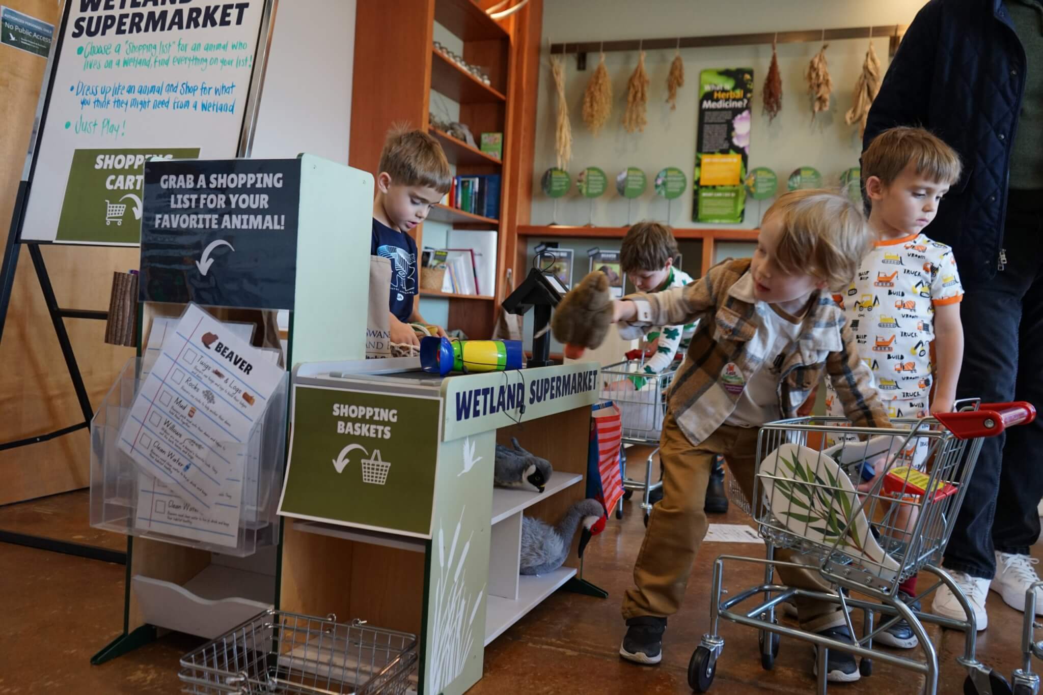 New Swaner exhibit will turn wetlands ecosystem into an interactive ...