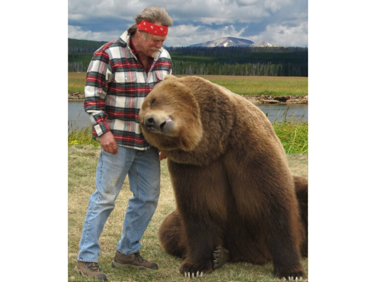 Meet Heber’s Bart the Bear, the Hollywood icon who helped save a ...