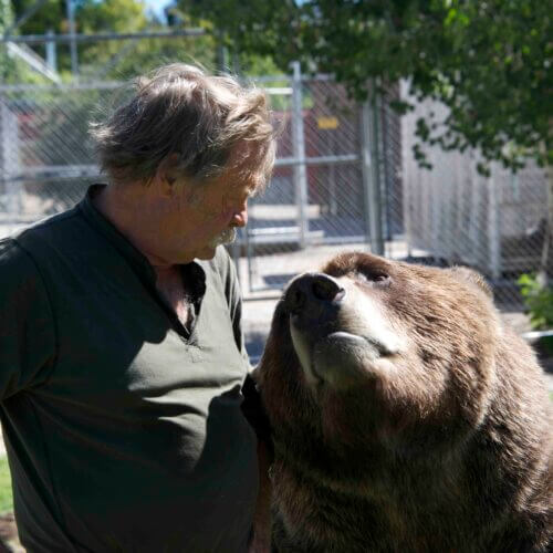 Meet Heber’s Bart the Bear, the Hollywood icon who helped save a ...