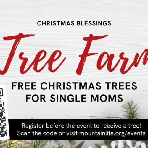Christmas Blessings Tree Farm returns with free trees for single moms ...