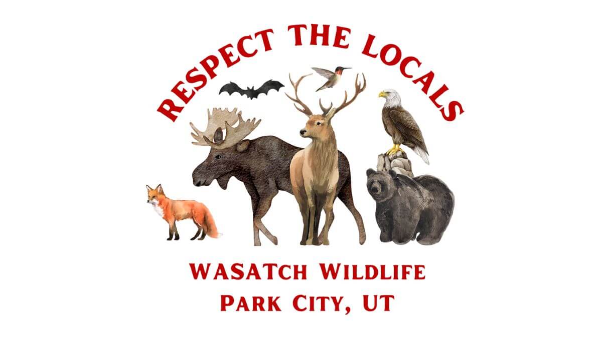 After a busy 2025, Wasatch Wildlife teases expansion and new facility ...