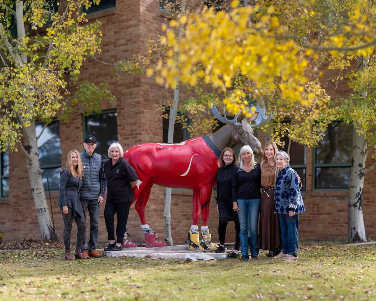 Moose are still on the loose - TownLift, Park City News