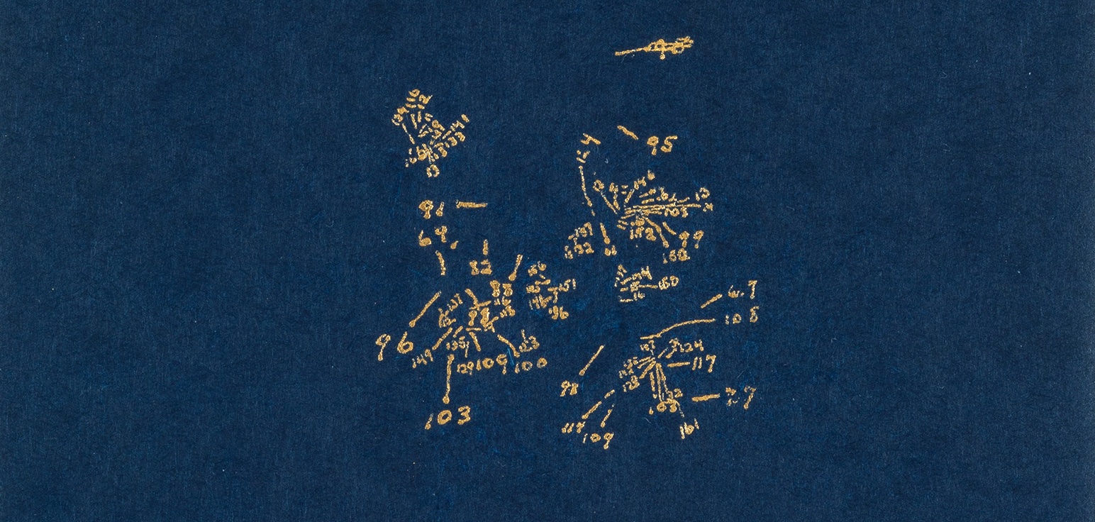 Under the Night Sky: A Dark-Sky Art & Stargazing Experience - TownLift ...