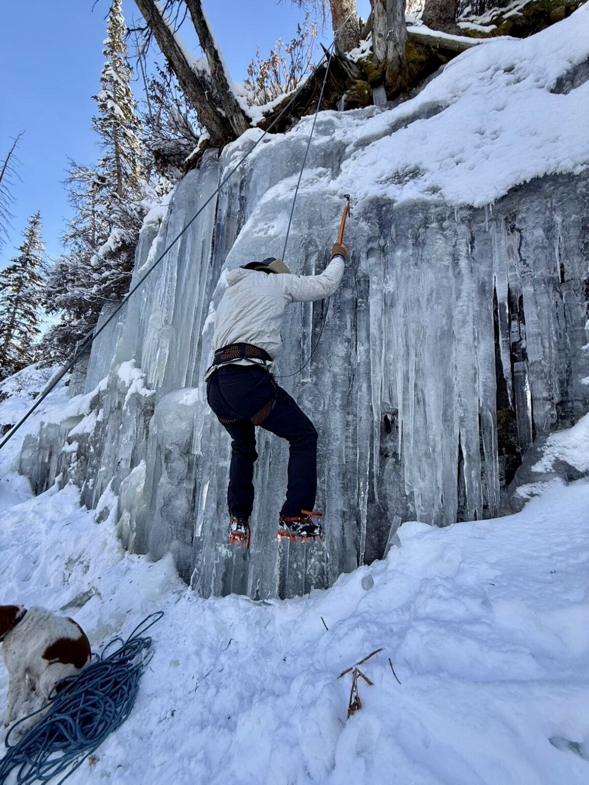 Nation’s tallest ice climbing trainer wall opens at Millcreek City Hall ...