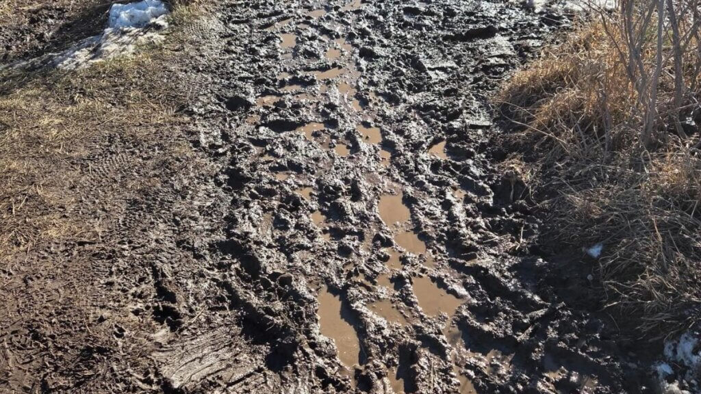 Run-A-Muk to begin midday closures as Basin Rec urges better trail ...