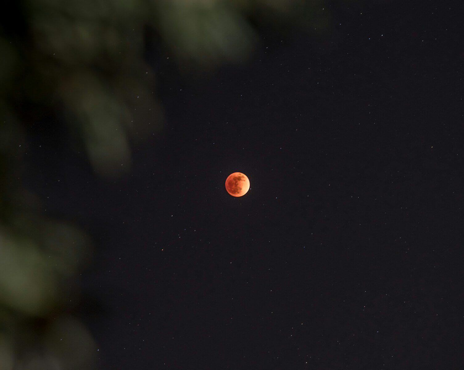 March night sky: Total lunar eclipse, equinox, and a Venus-Saturn ...