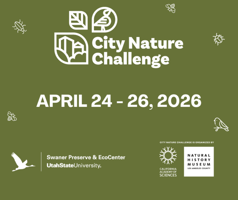 City Nature Challenge - TownLift, Park City News