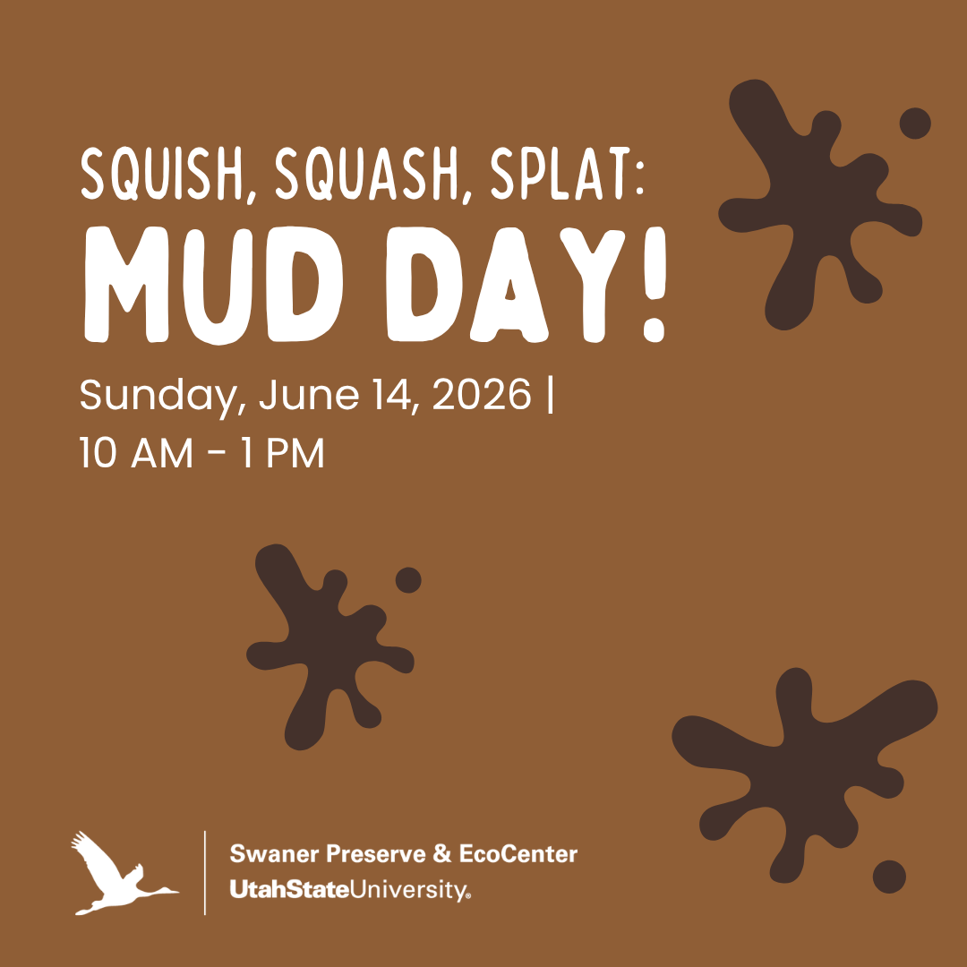 Squish, Squash, Splat: Mud Day! - TownLift, Park City News