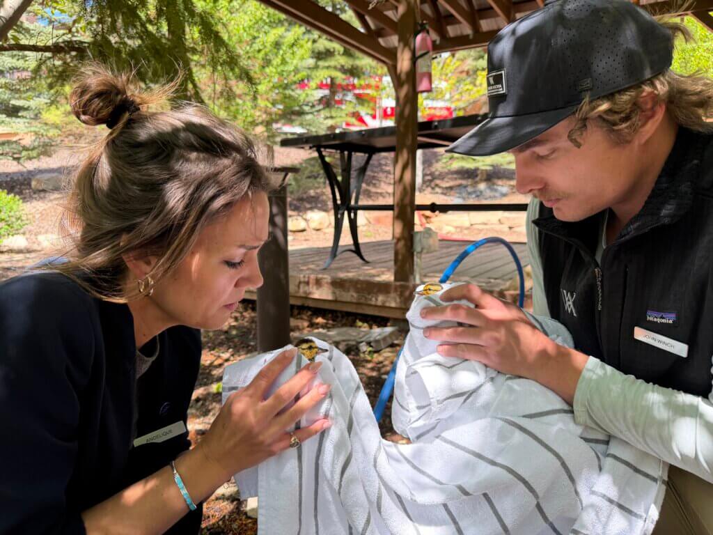 SNAPPED: PCFD duckling rescue - TownLift, Park City News