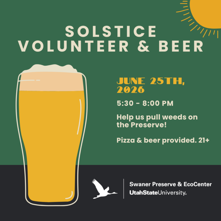 Solstice Volunteer + Beer (21+) - TownLift, Park City News